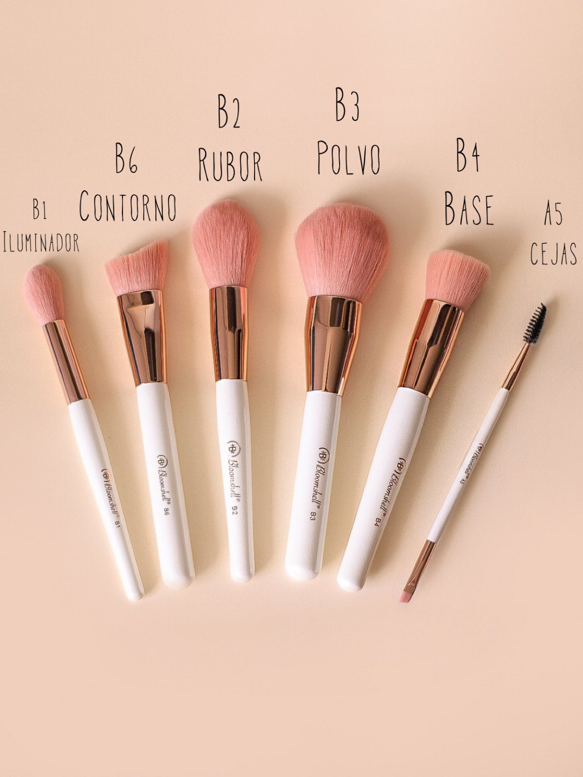 Brochas individual bloomshell – Girly Maquillaje | makeup